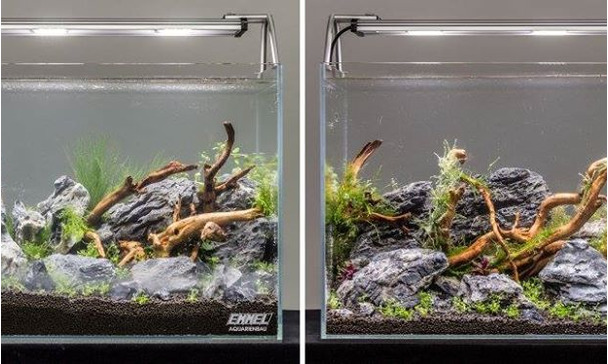 How to create a ProScape - The making of „Scaping Four“