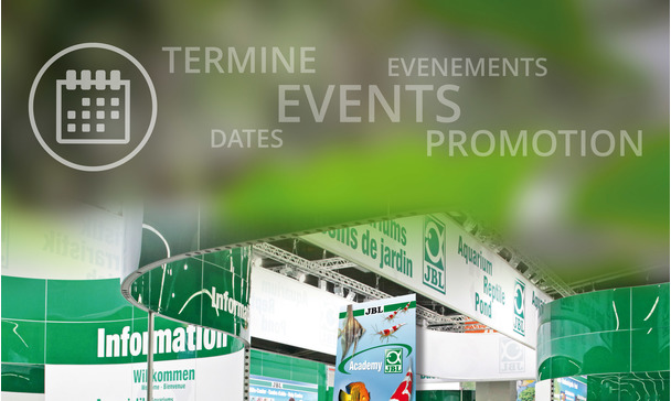 Workshops, trade fairs and promotions in February – This is where you ...