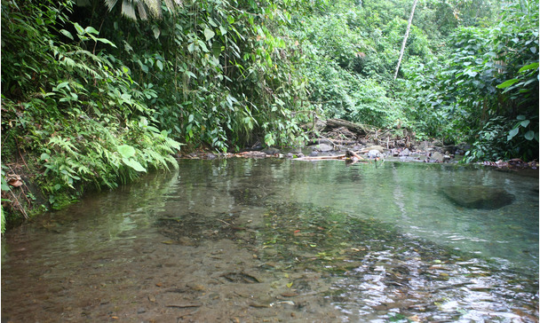The Rainforest Terrarium Part 3 - Heating