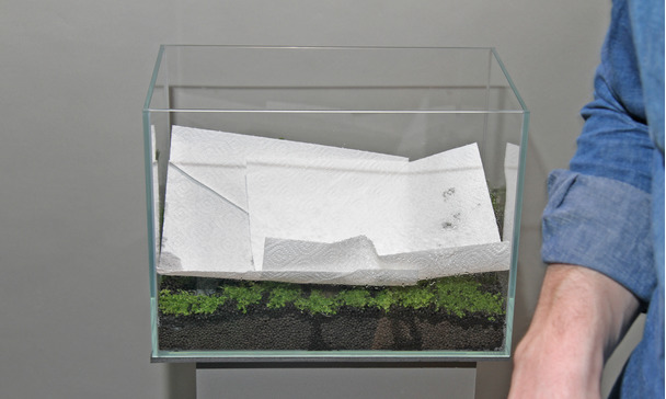 Moving With Your Aquarium – The Checklist