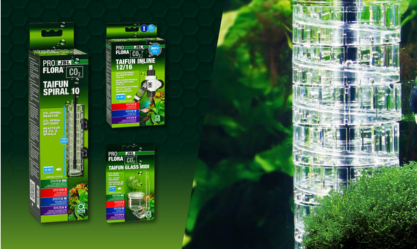 JBL TV #34: How does CO2 get into the aquarium? Reactor, diffuser & more