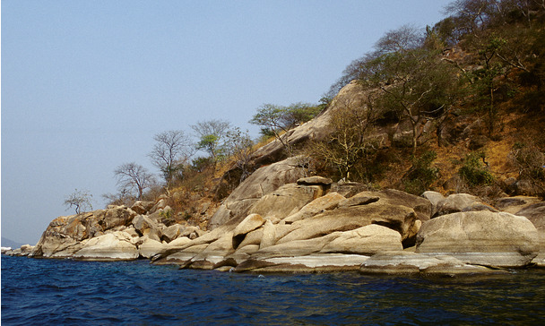 Lake Malawi - a holiday in a giant aquarium