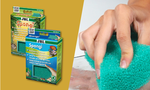 Residue-free sponge - for cleaning the aquarium & terrarium
