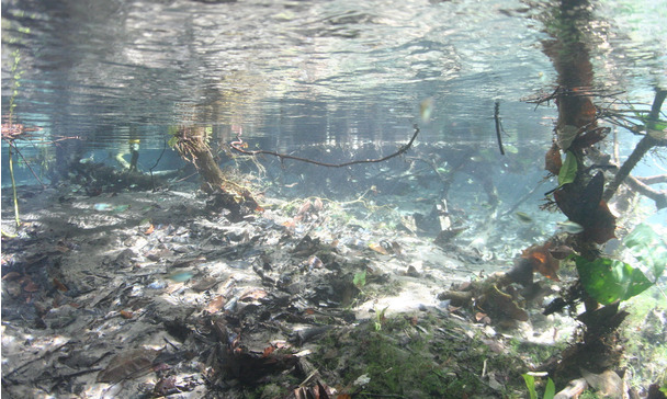 What do substrates really look like in biotopes?